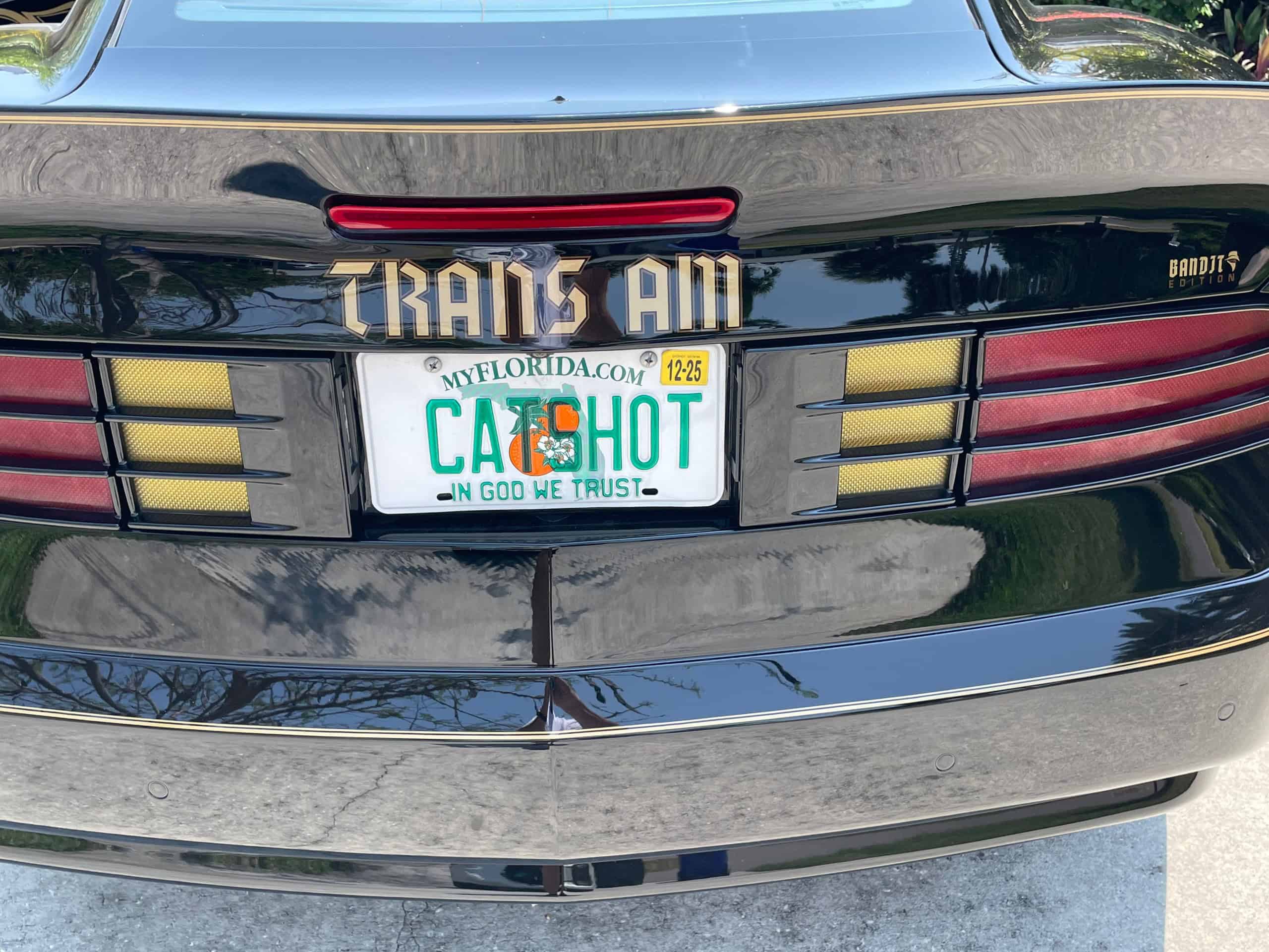 The “Catshot” Confusion: When a Custom License Plate Story Took Off ...